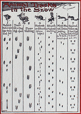 Animal Tracks in the Snow – The Good Supply